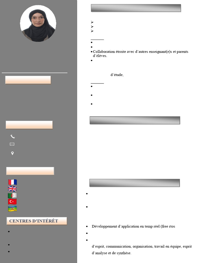 CV Wissem Professionnel | PDF