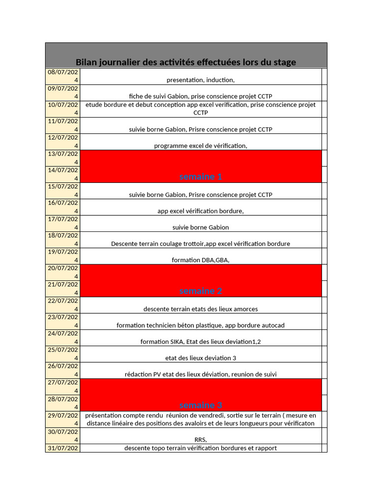 Bilan Journalier Des Activités Effectuées Lors Du Stage | PDF