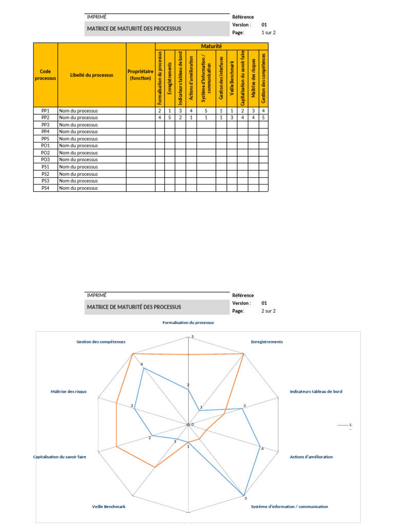 Matrice de Maturité Des Processus | PDF