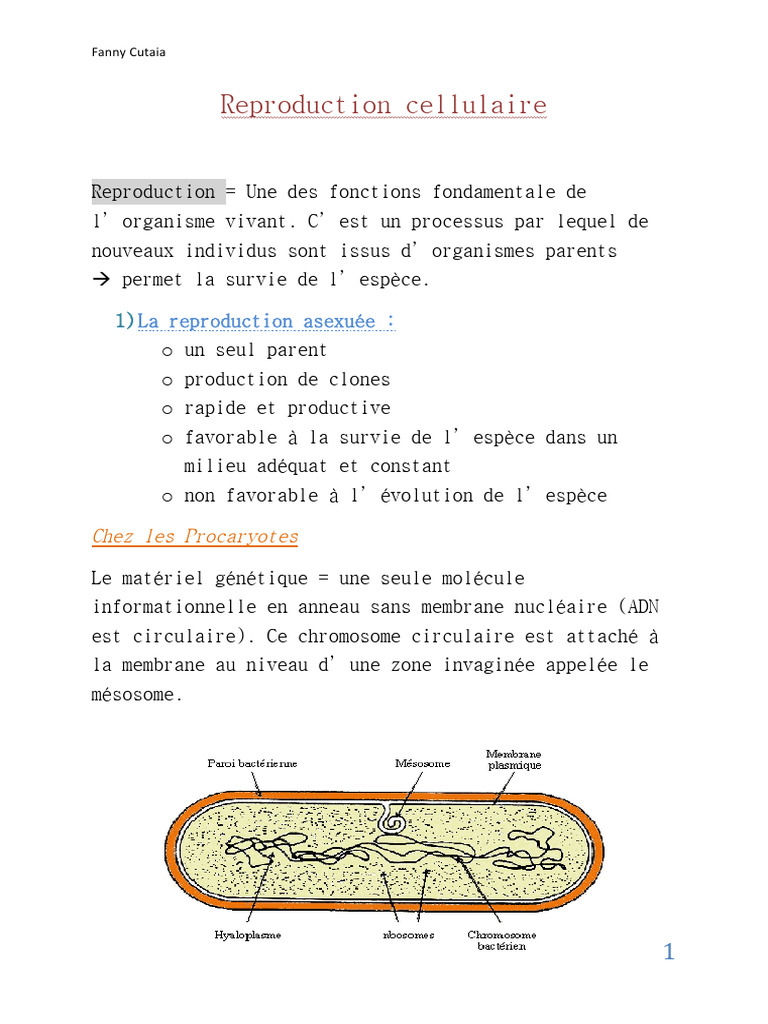La Reproduction Cellulaire | PDF