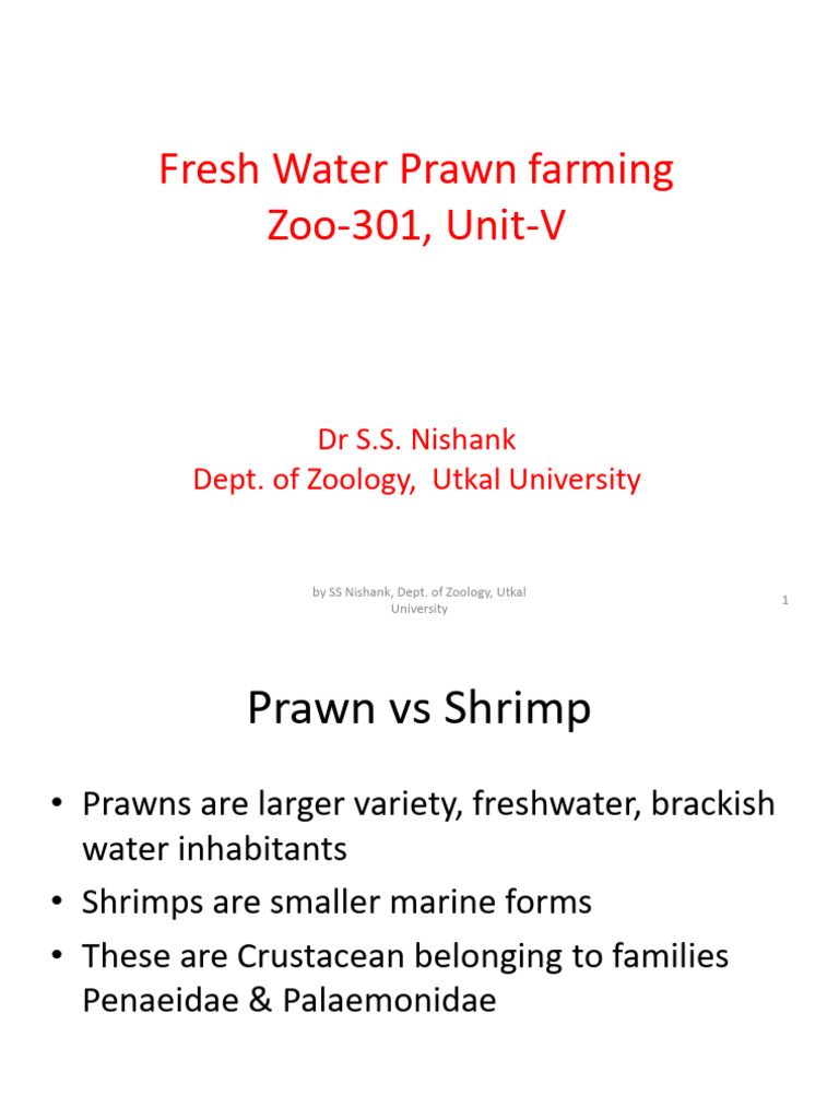 Prawn Farming For Students - 2022 | PDF
