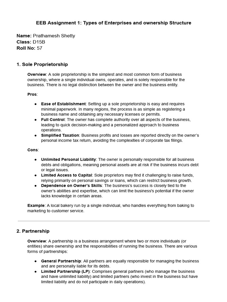 EEB Assignment1 Types of Enterprises | PDF