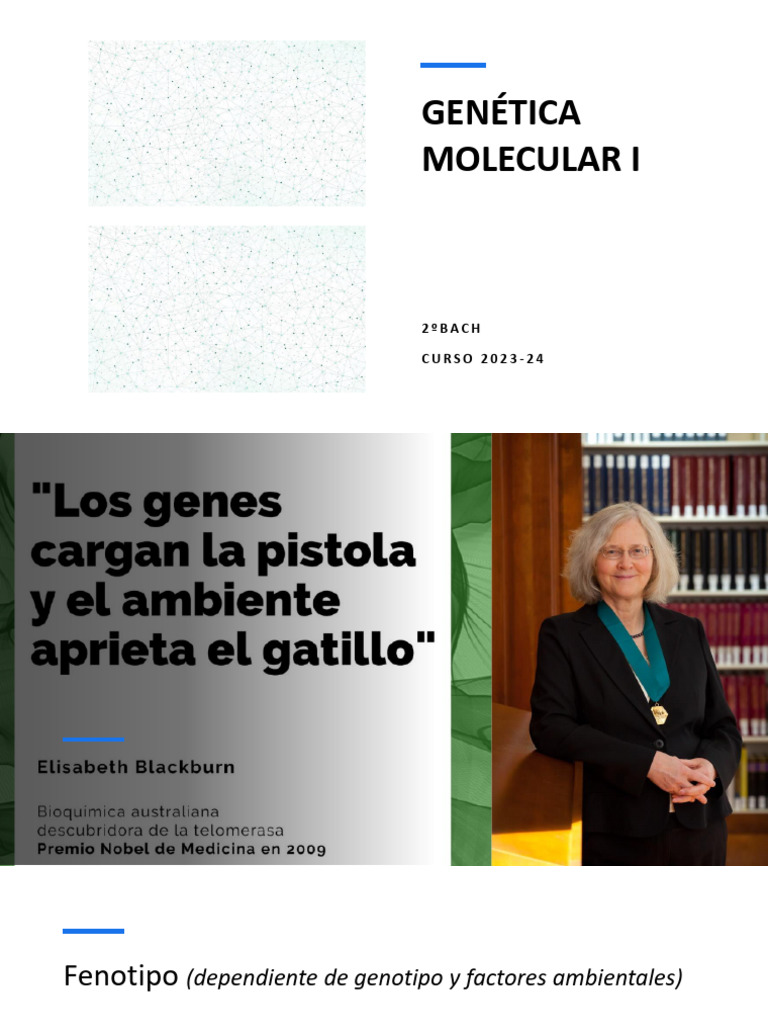 T12 Genética Molecular I. Replicación | PDF