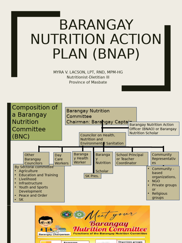 Barangay Nutrition Action Plan Bnap | PDF