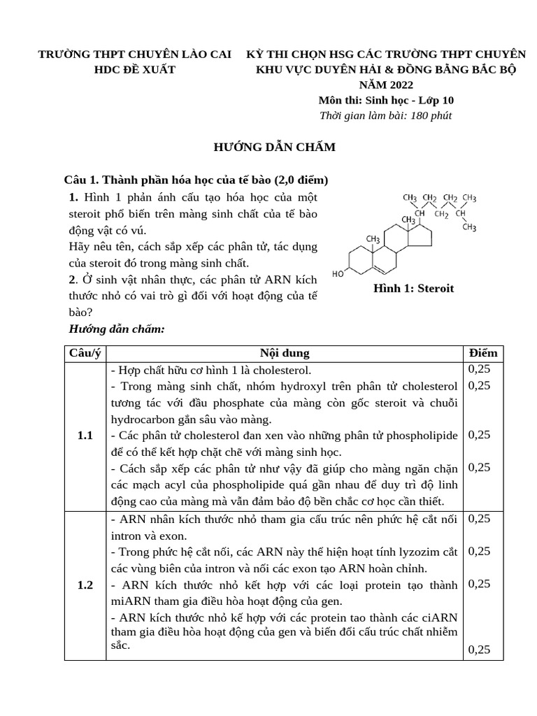 HDC Sinh học - 10 - THPT Chuyên Lào Cai | PDF