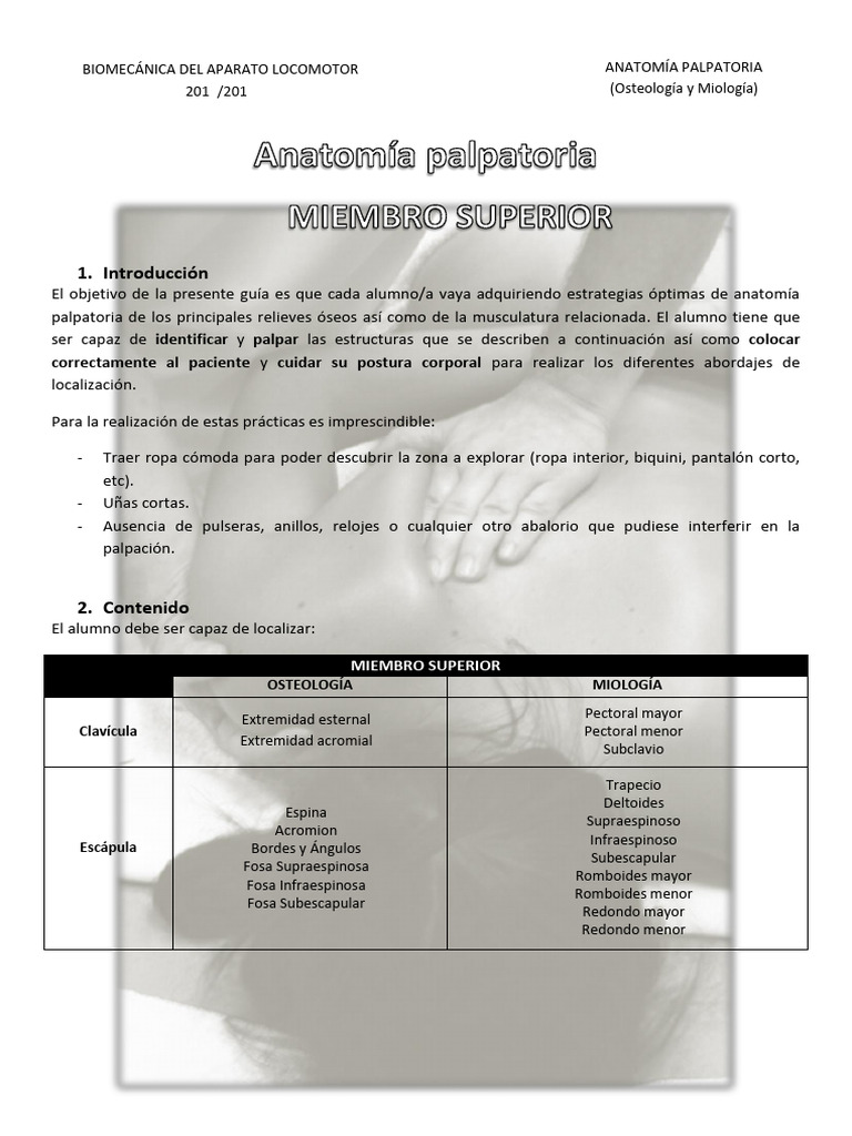 Miembro Superior | PDF