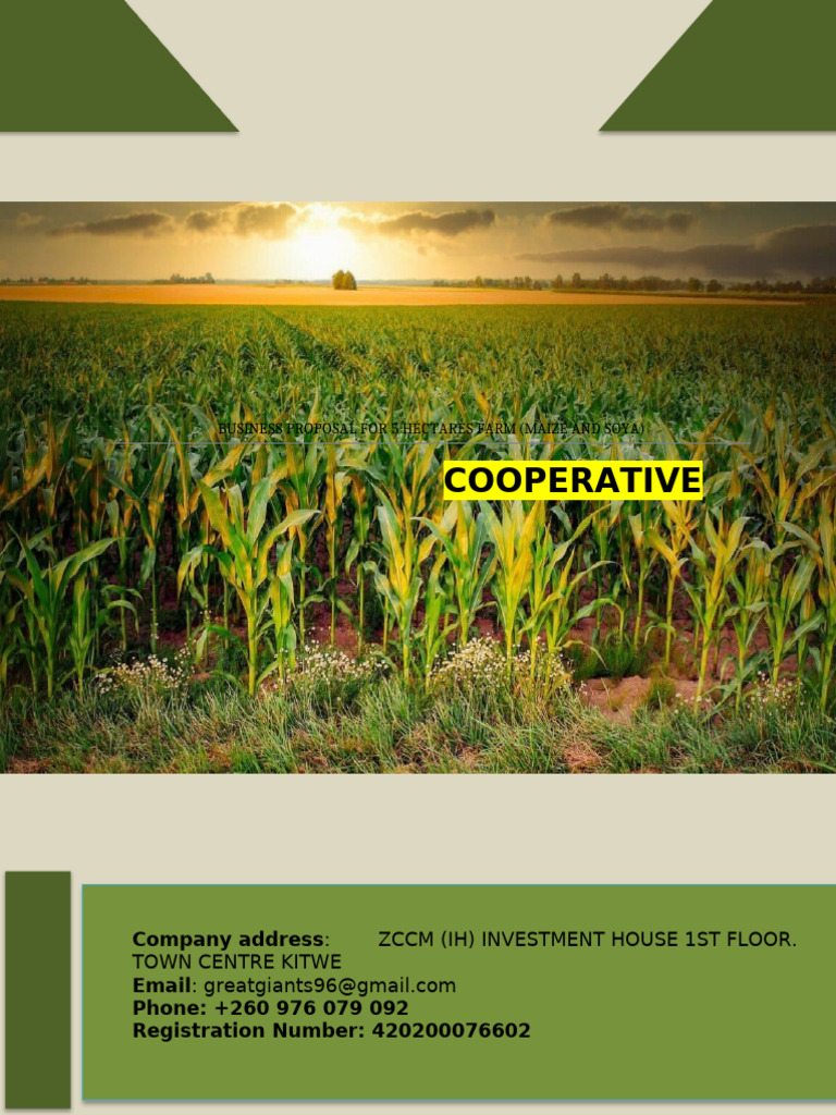 Great Giants Business Proposal For 5 Hectares Maize and Soya Beans | PDF