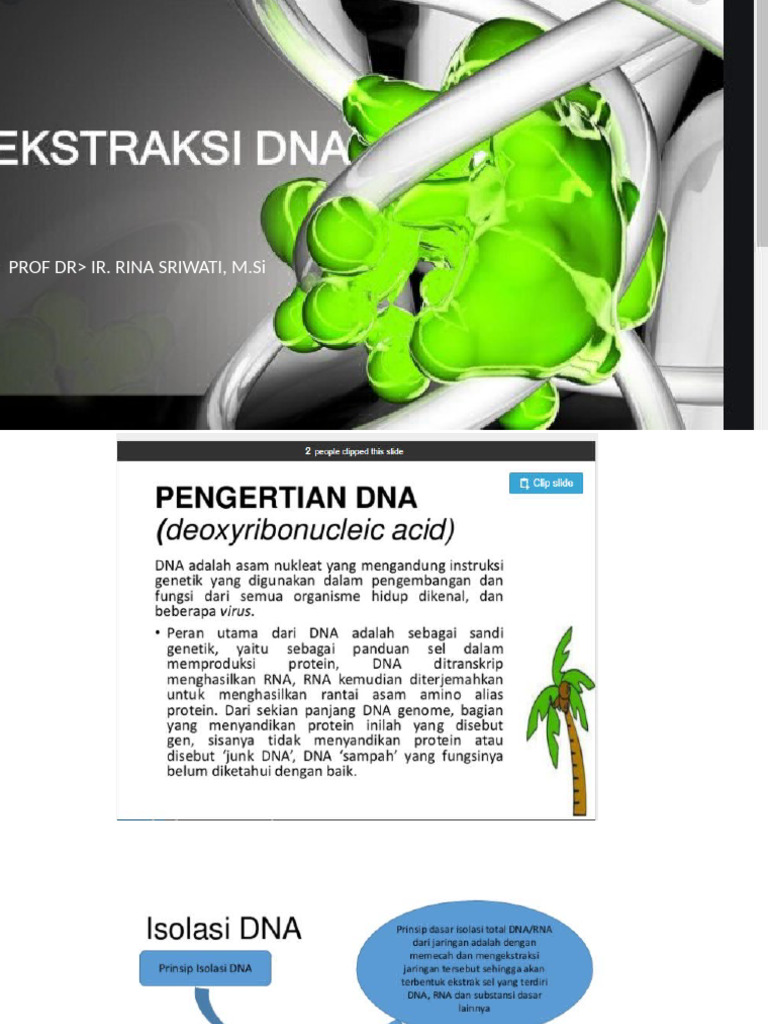 Ekstksi DNA | PDF