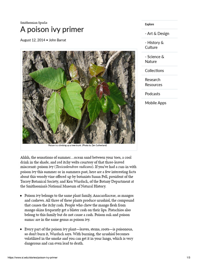 A Poison Ivy Primer - Smithsonian Institution | PDF