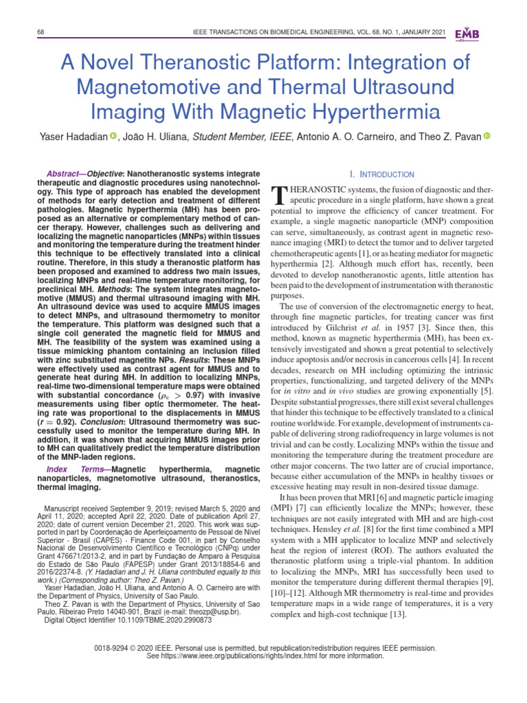 A Novel Theranostic Platform Integration of Magnetomotive and Thermal ...