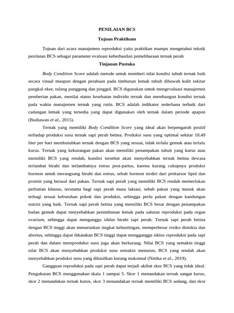 Punya Rizfita - MTPerah | PDF