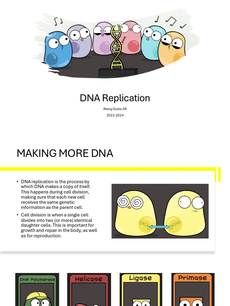 DNA Replication | PDF