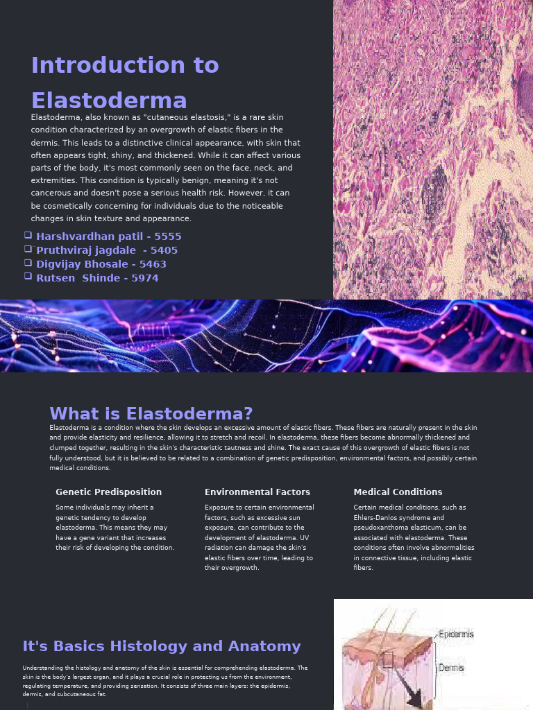 Introduction To Elastoderma Pdf