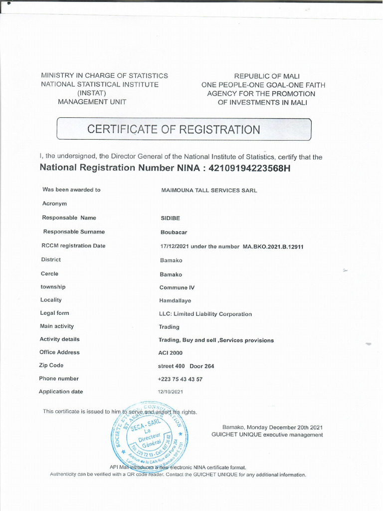 Business Registration | PDF