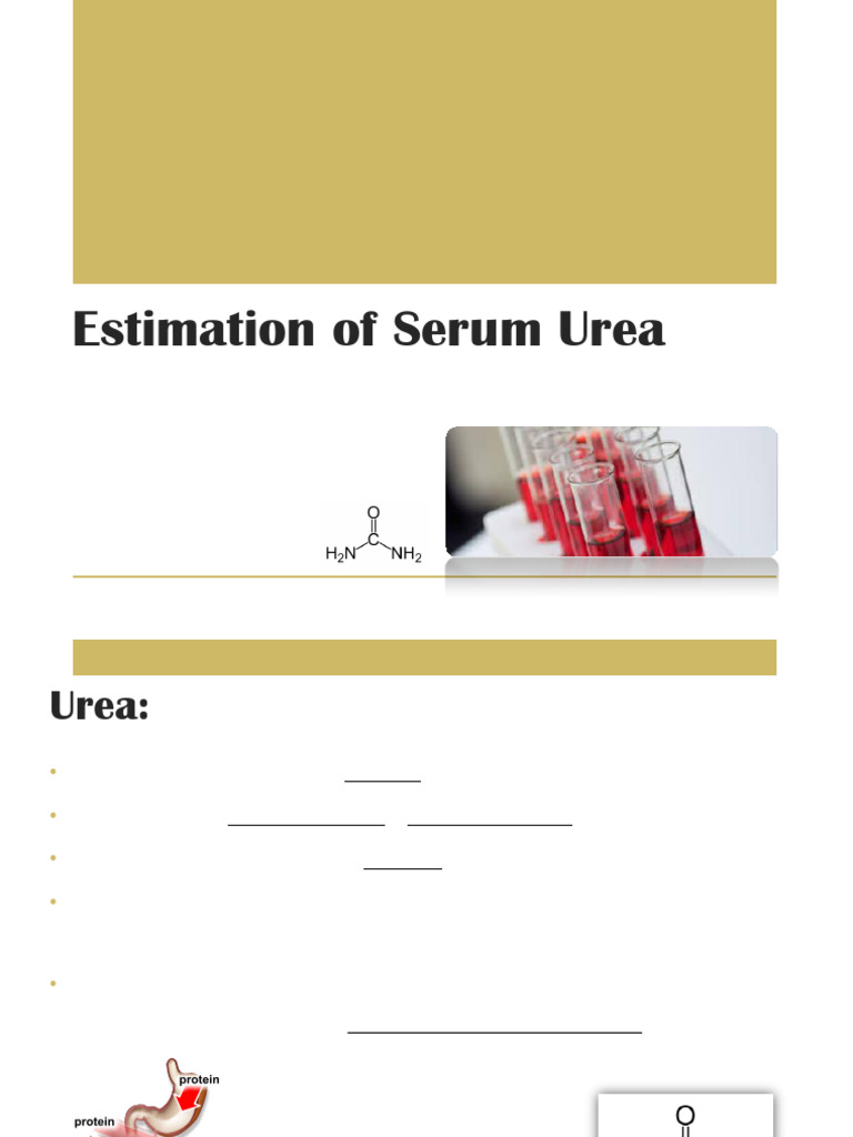 Urea Estimation 2 Important | PDF | Urea | Kidney