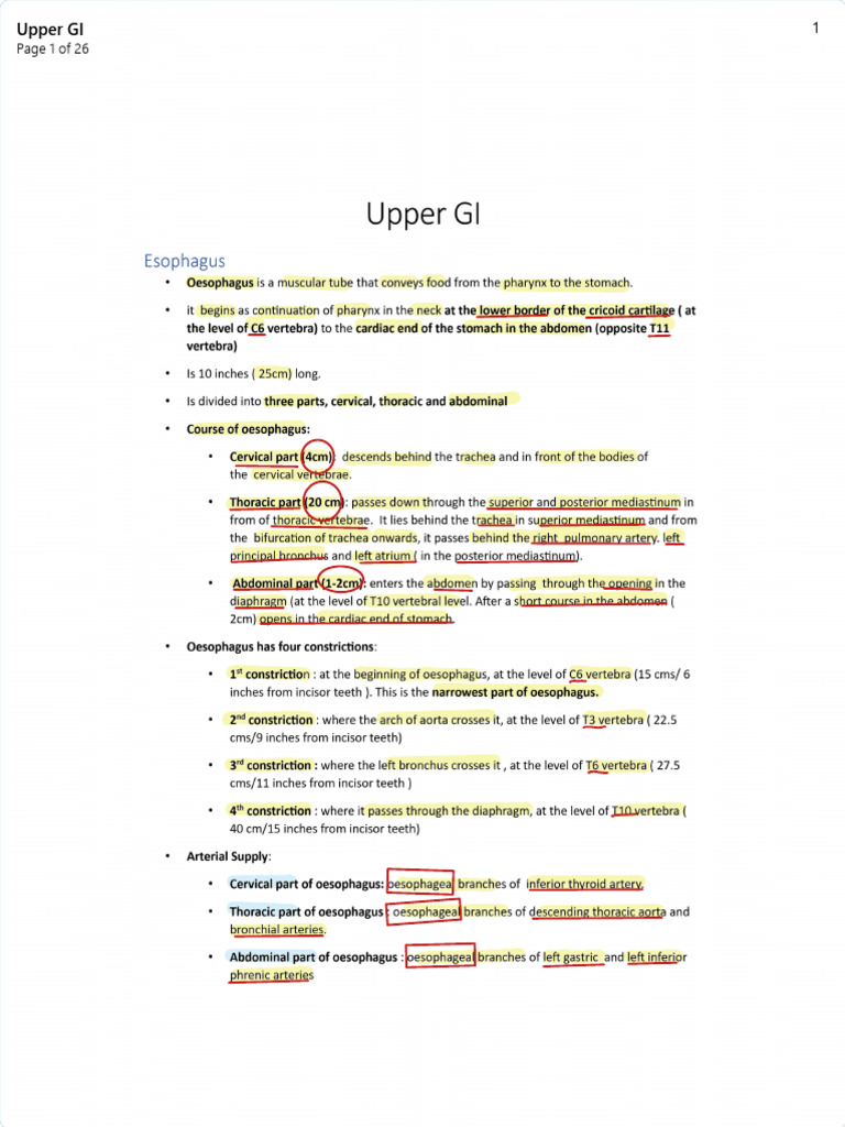Upper GI Notes | PDF