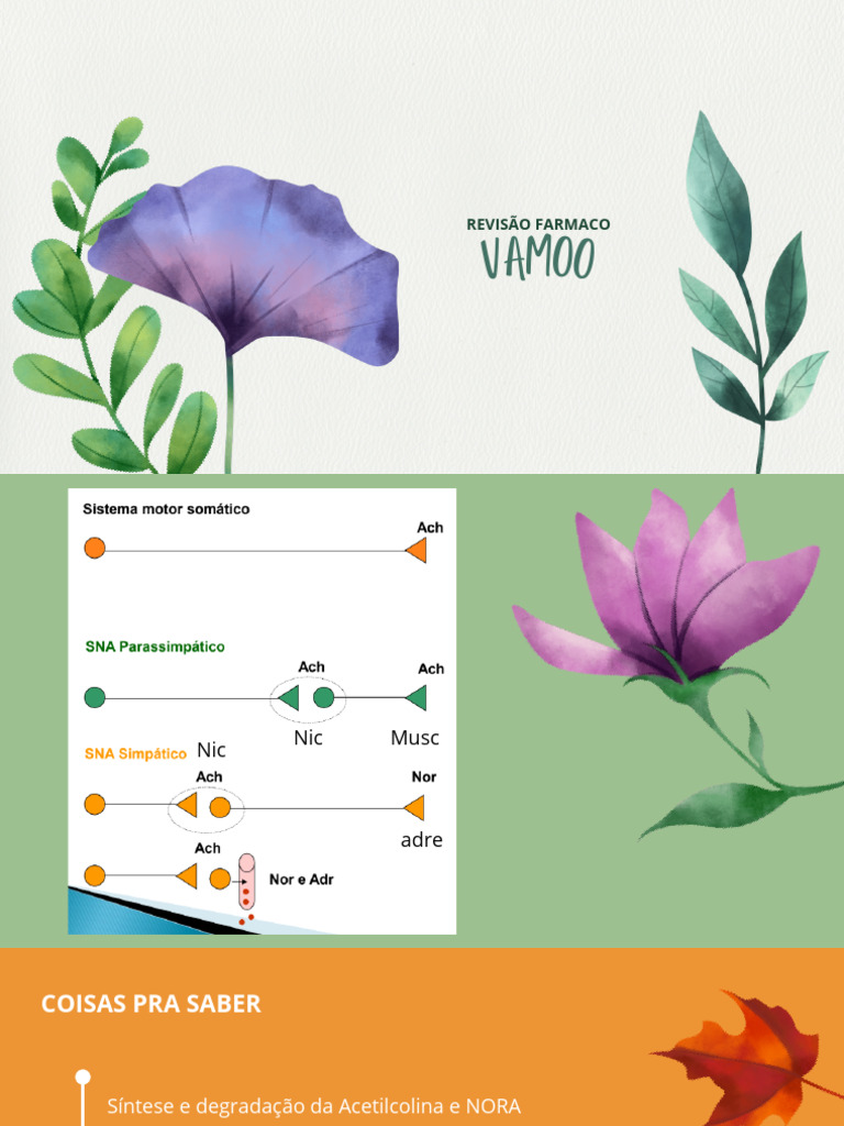 Revisão Farmaco | PDF