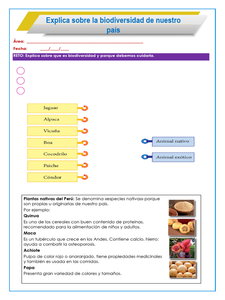 2° Ficha Cyt | PDF | Salud y bienestar | Tecnología