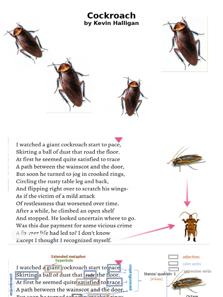 Cockroach Students' | PDF