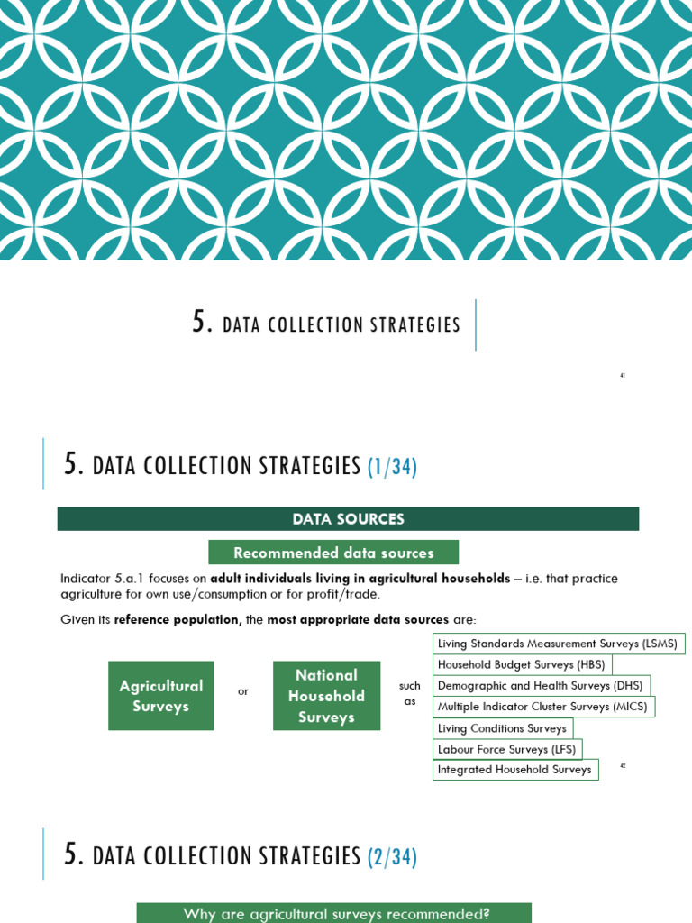 FAO PRESENTATION ON DATA COLLECTION STRATEGIES FOR AGRICULTURAL SURVEYS ...