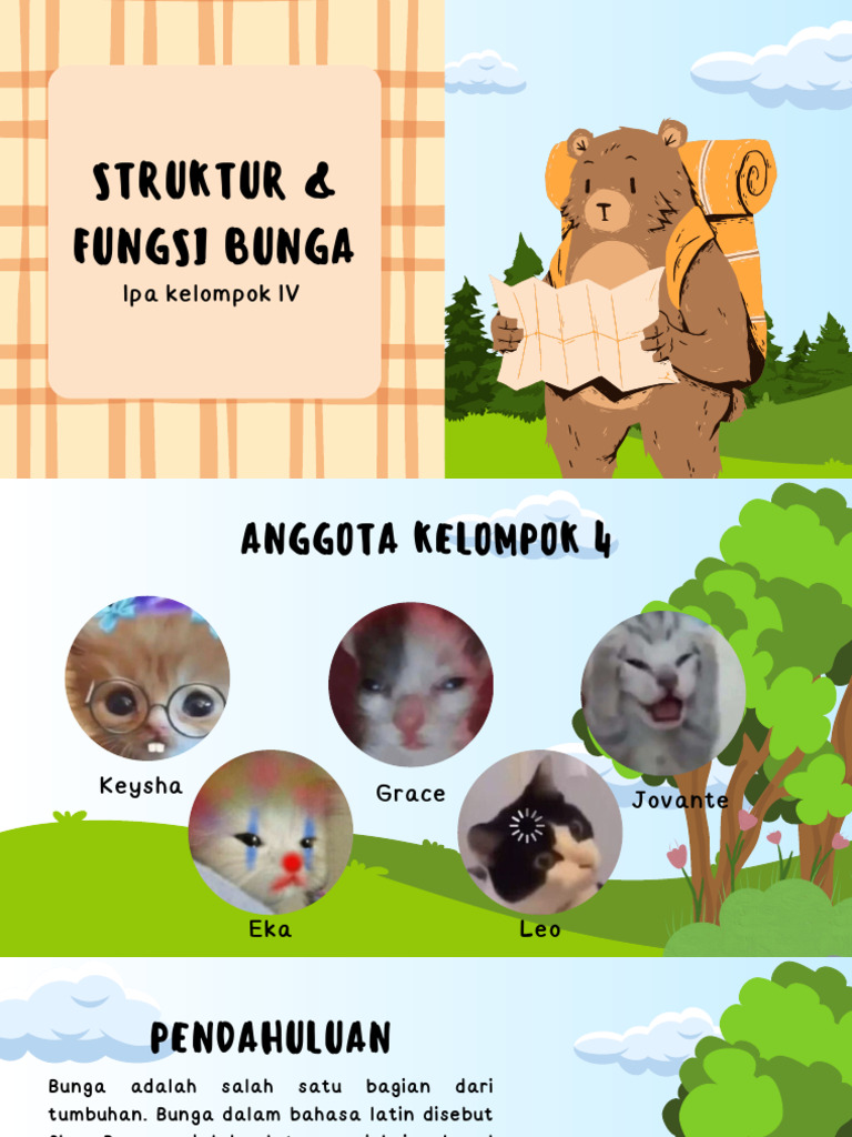 Kelompok 4 (Stuktur Dan Fungsi Bunga) Kelas VIIIB | PDF Kelompok 4 (Stuktur Dan Fungsi Bunga) Kelas VIIIB | PDF