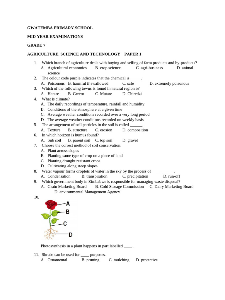 Gwatemba Primary School | PDF
