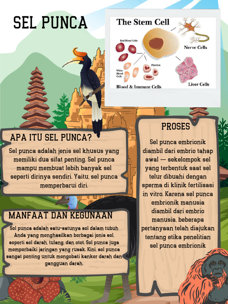 Sel Punca Sendiri | PDF