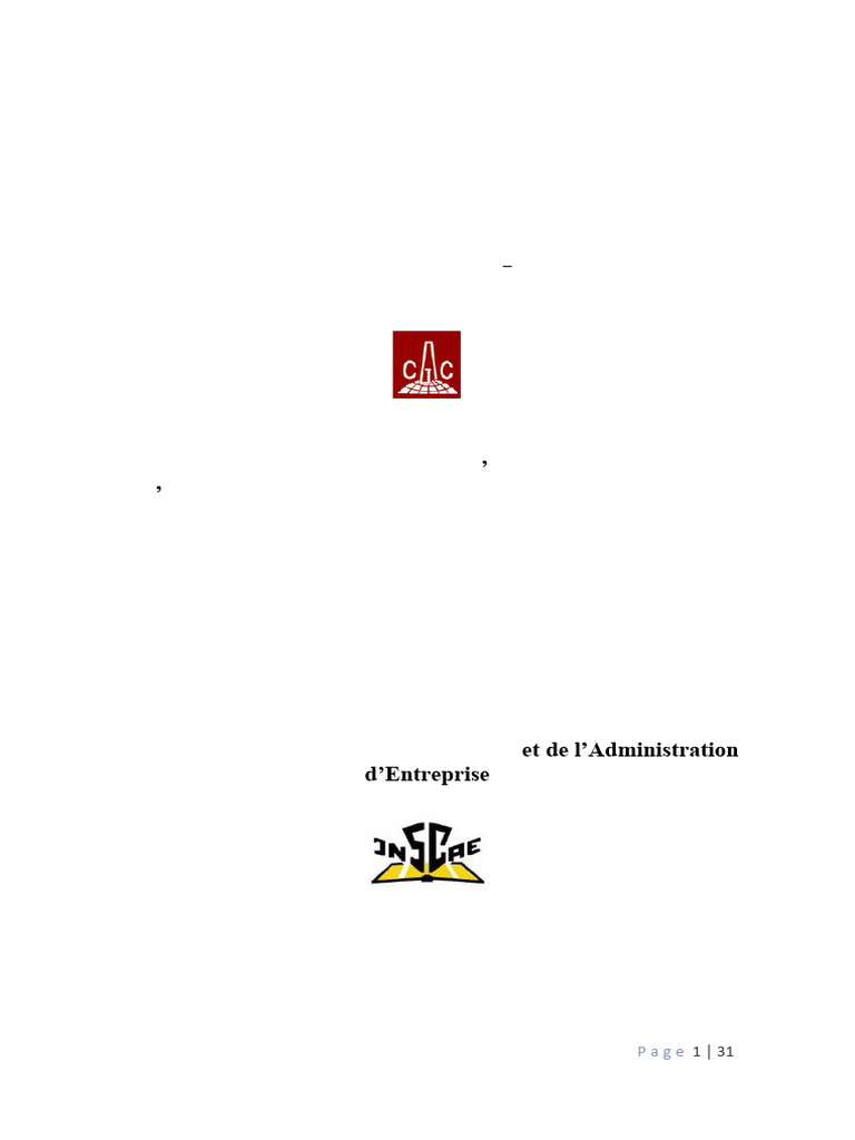 Rapport de Stage Tanjona MBA | PDF