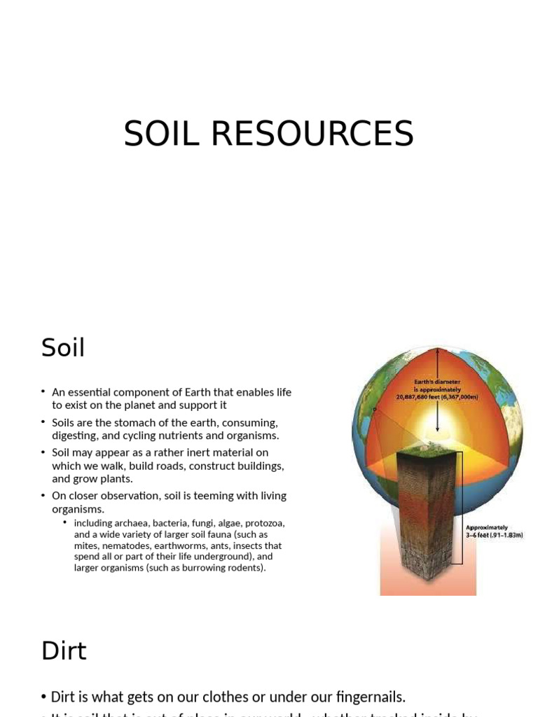 q2 Lesson 1 Soil Resources | PDF