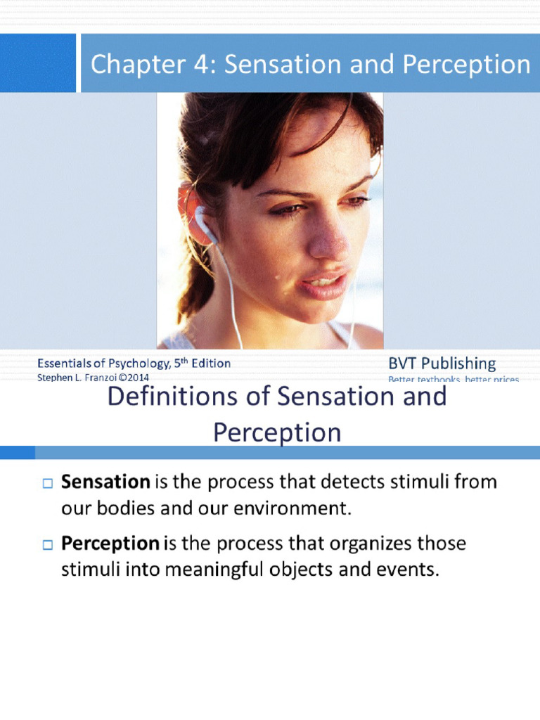 Perception | PDF