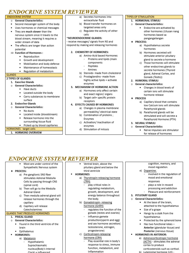 Endocrine System | PDF