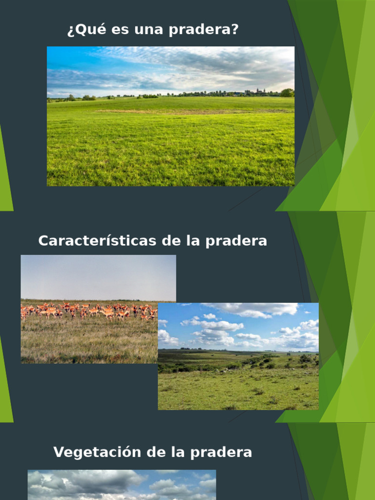 La Pradera | PDF