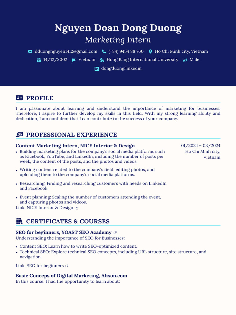 Nguyen Doan Dong Duong FlowCV Resume 20240809 | PDF