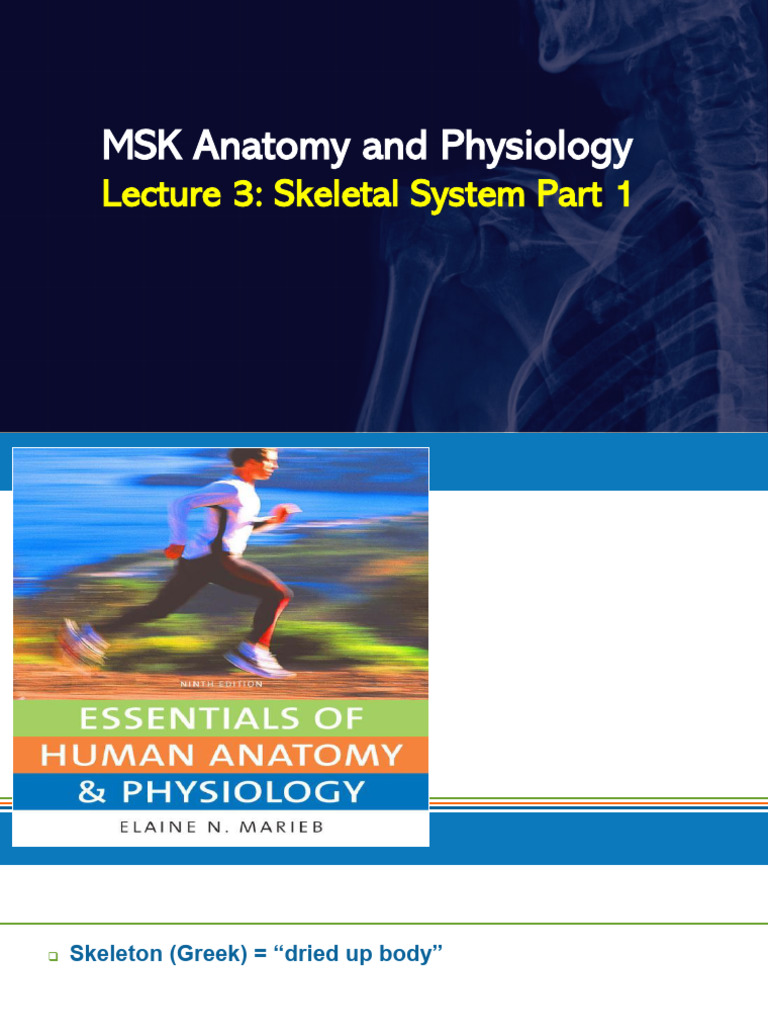 OT Tech 3. Skeletal System Part 1 | PDF