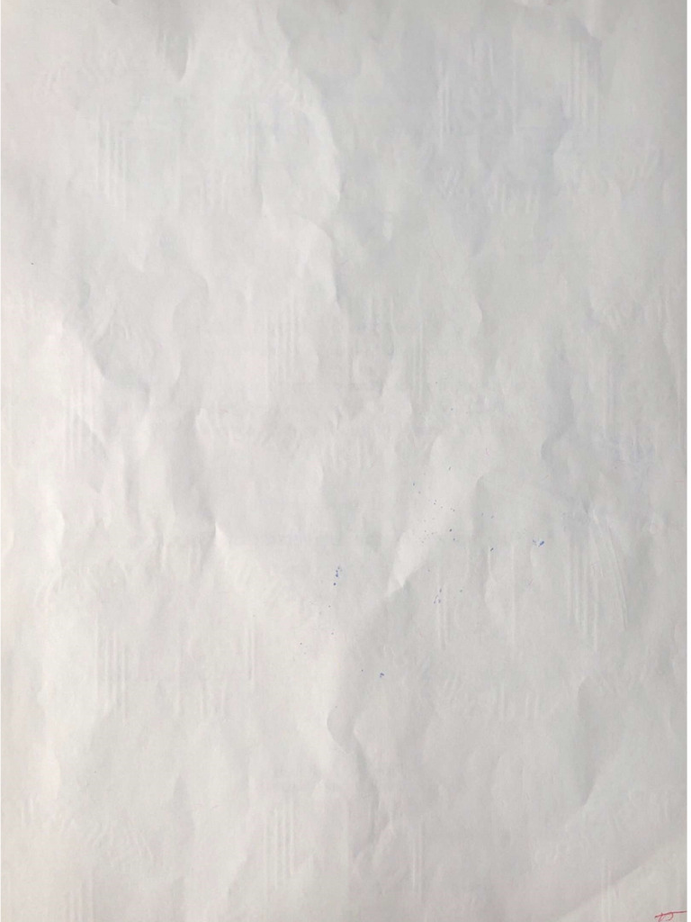 BSC Back | PDF
