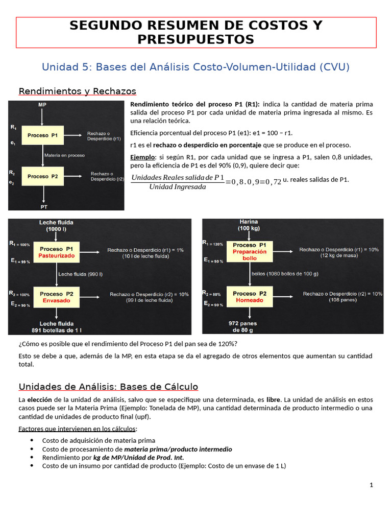 Resumen 2 Costos y Presupuestos | PDF