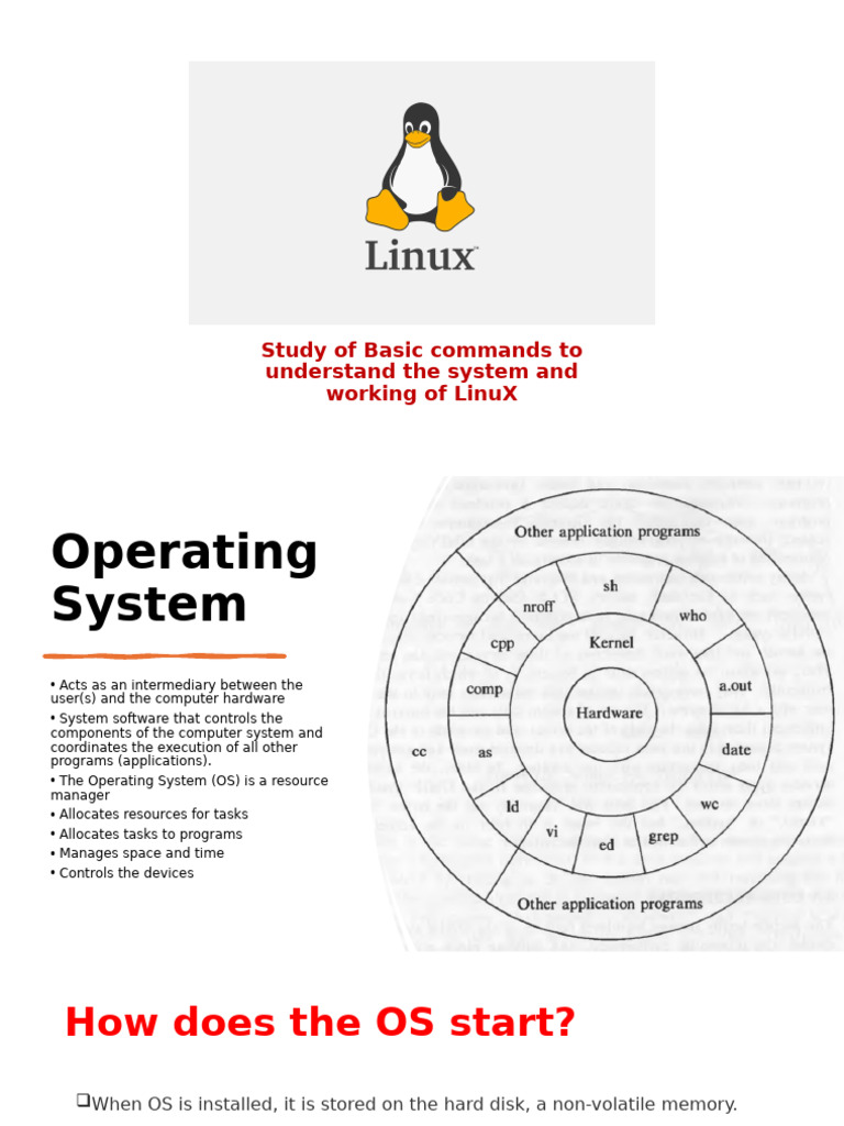 Linux Basic Commands | PDF