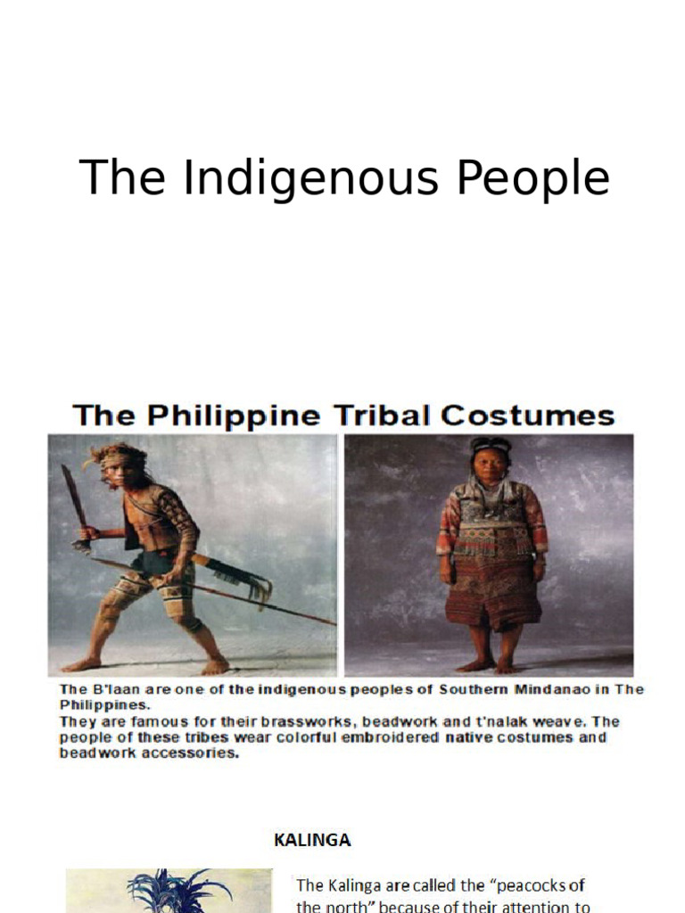 Lesson-2-The-Indigenous-People | PDF