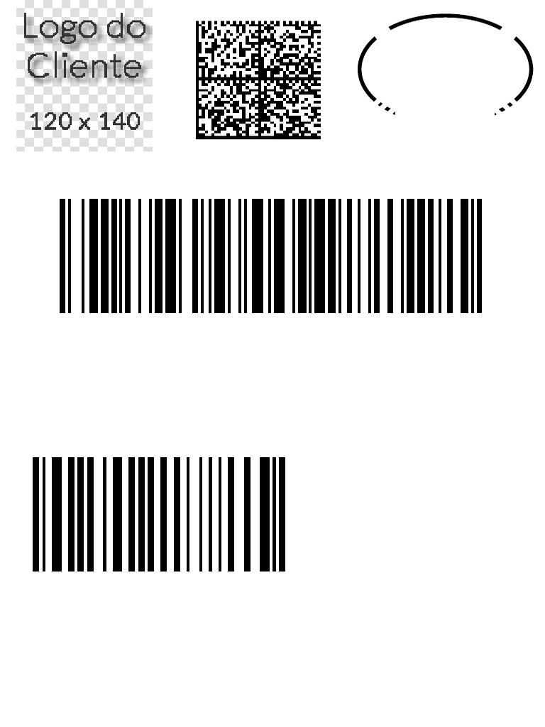 Teste Etiqueta Zebra | PDF