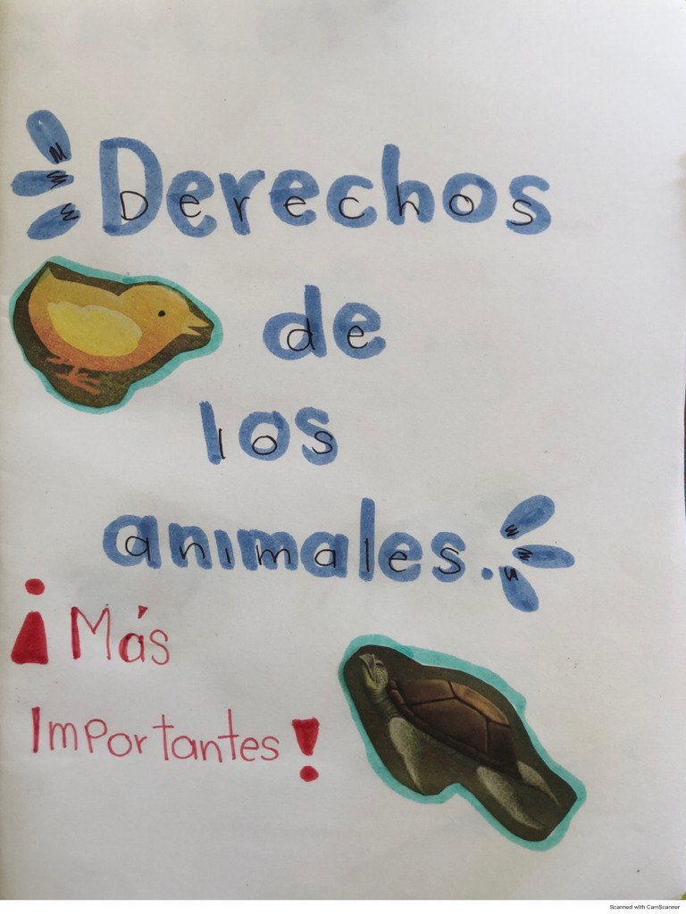 PR El Derecho de Vivir Fatima Castillo | PDF