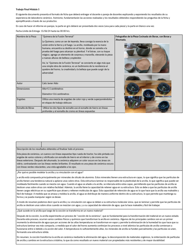 Modelo Trabajo Final Modulo 5 Actualizacion Academica | PDF