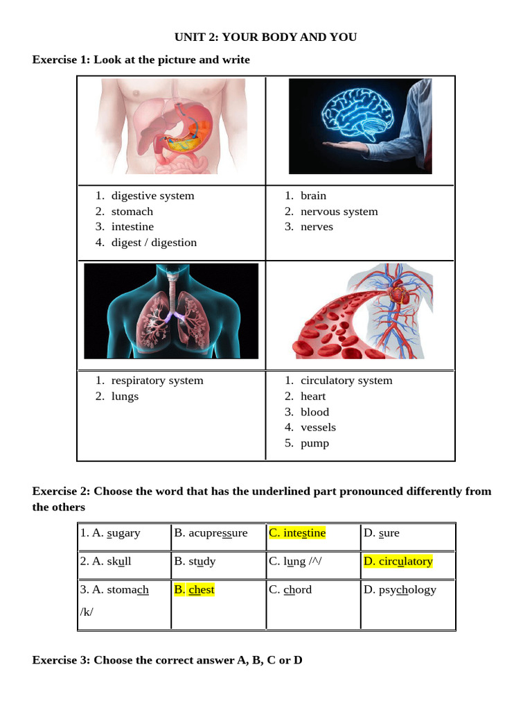 Practice - Vocabulary - Unit 2 | PDF