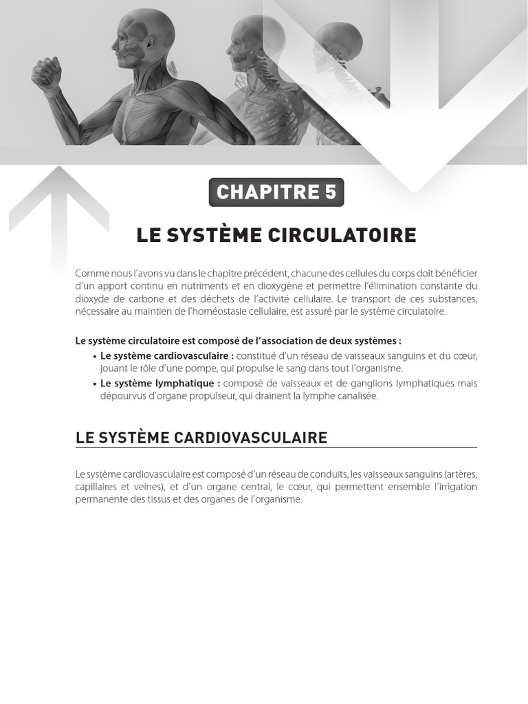 Anatomie de l'appareil circulatoire | PDF | Cœur | Sang