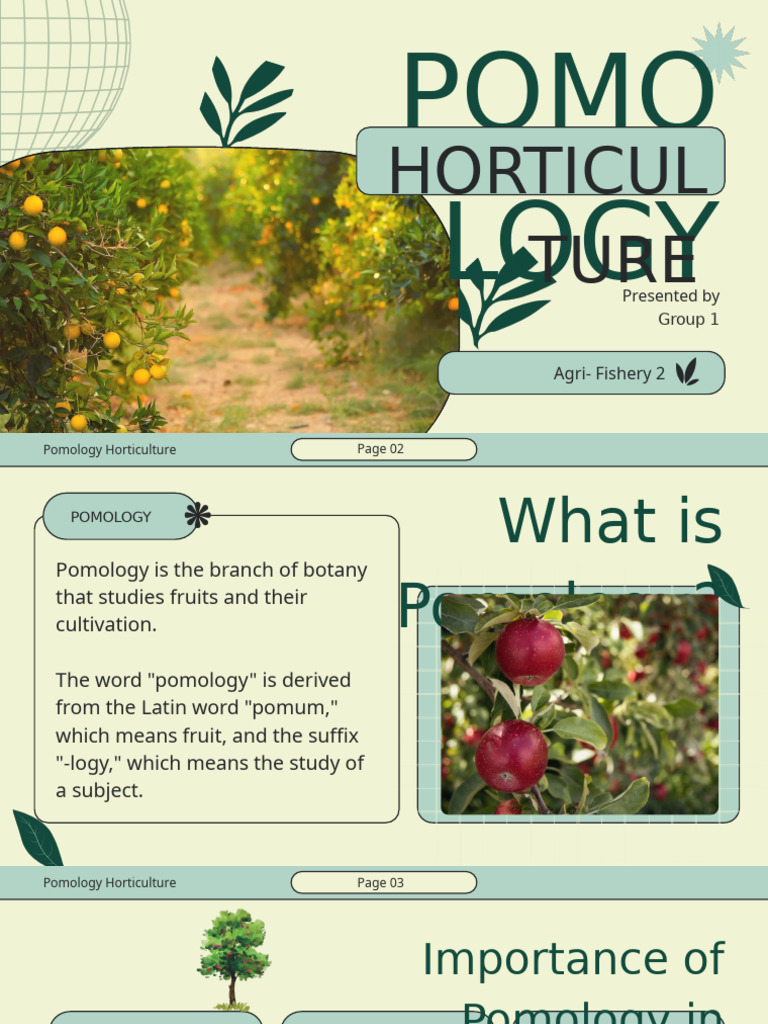 POMOLOGY | PDF