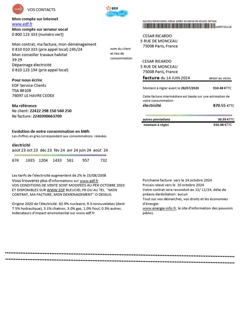 EDF France Proof of Address Utility Business Bill | PDF