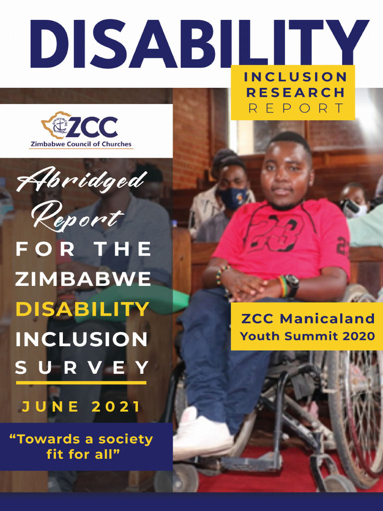 Disability Inclusion Report 11 | PDF