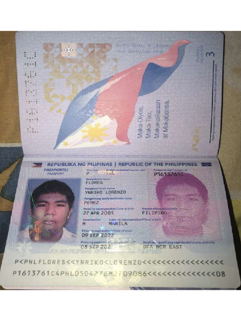 Flores Passport Compressed | PDF