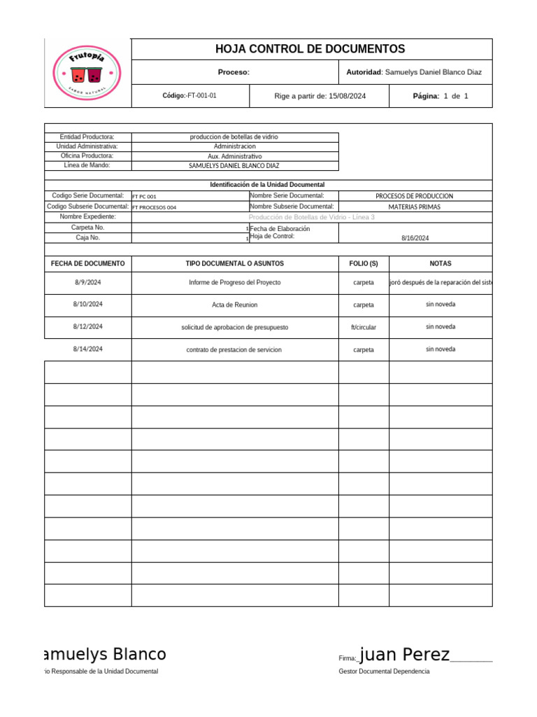 Formato Hoja Control de Documentos - Serap-ft-039-Jolan-V07 | PDF