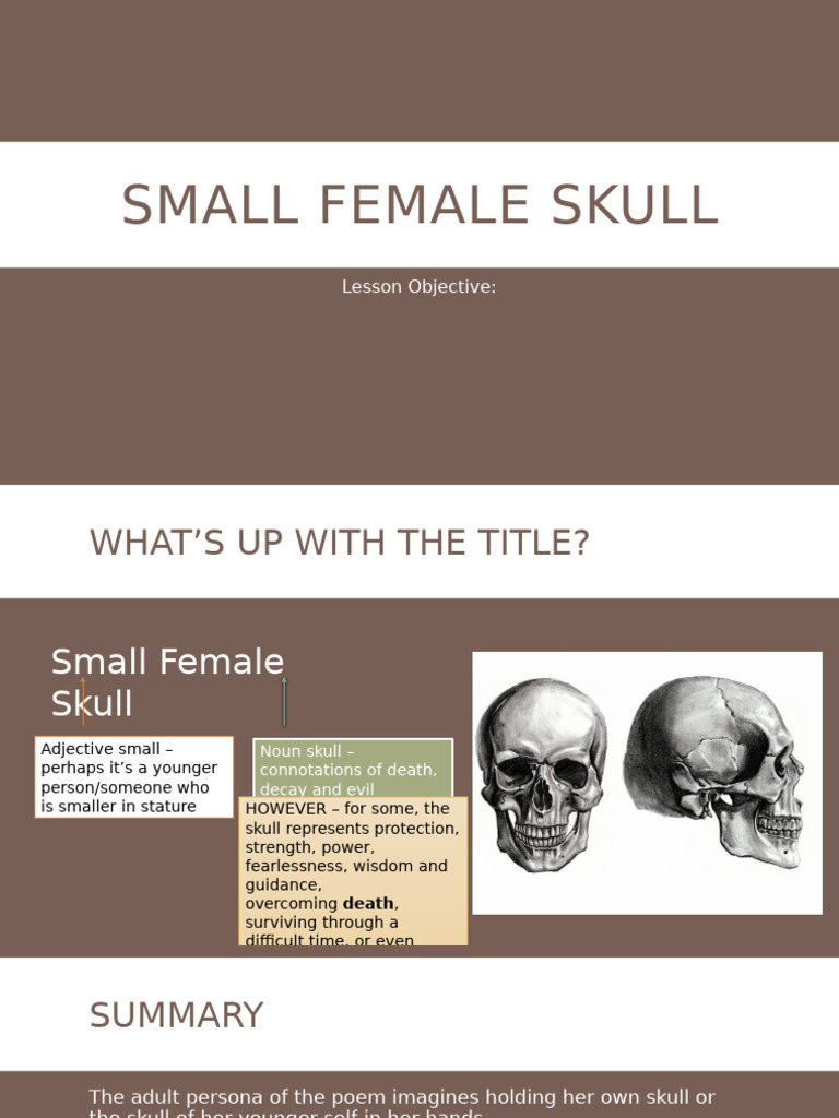 Small Female Skull | PDF