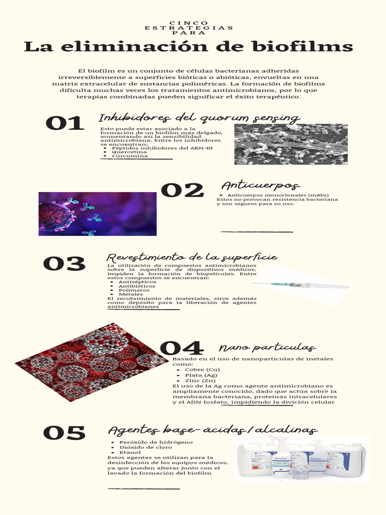 Biofilm | PDF | Biopelícula | Antimicrobiano